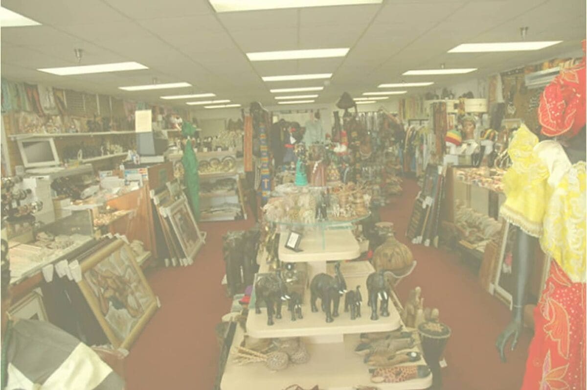 Contact Us | African Land